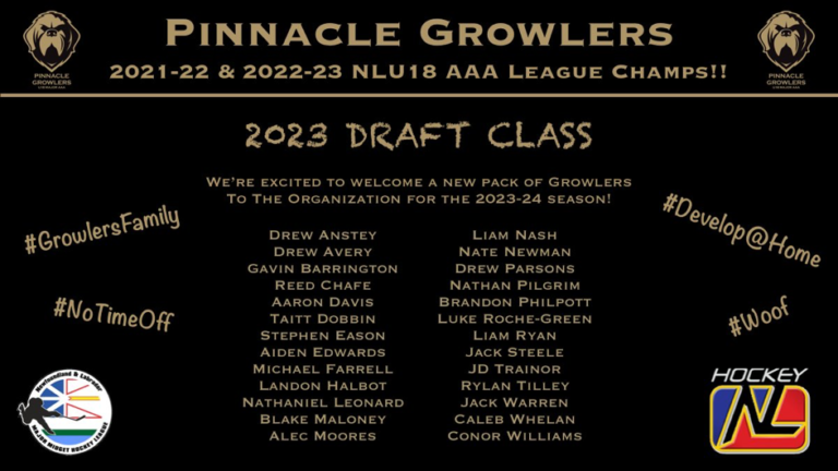 Breaking Down the 2023 NL U18 Draft - Vision Hockey Group